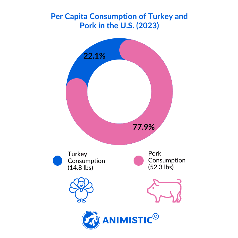 Turkey vs. Ham – The Battle Begins | ANIMISTIC